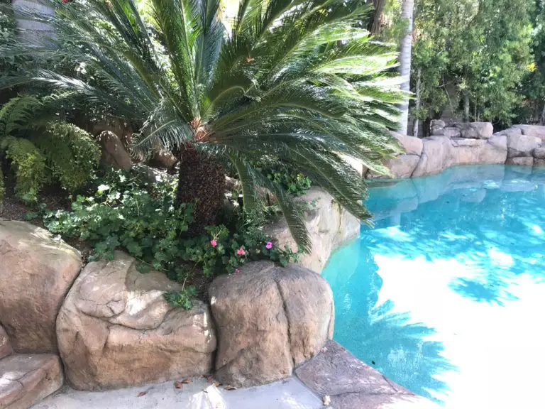 Should You Put Rocks Around Your Pool? + Landscaping - YardOwner